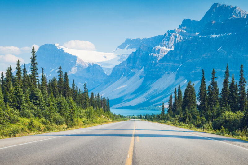 Supply Chain Thought Leadership | Blog & Articles - NISCL